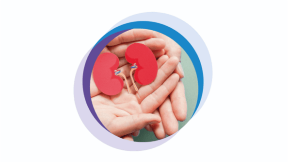 Zakaj so srce in ledvice pomembne? | Act4Diabetes