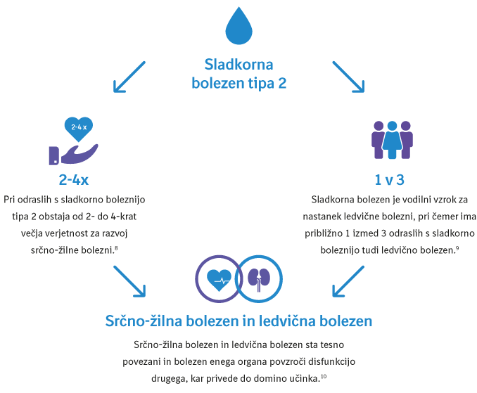 Zakaj so srce in ledvice pomembne? | Act4Diabetes
